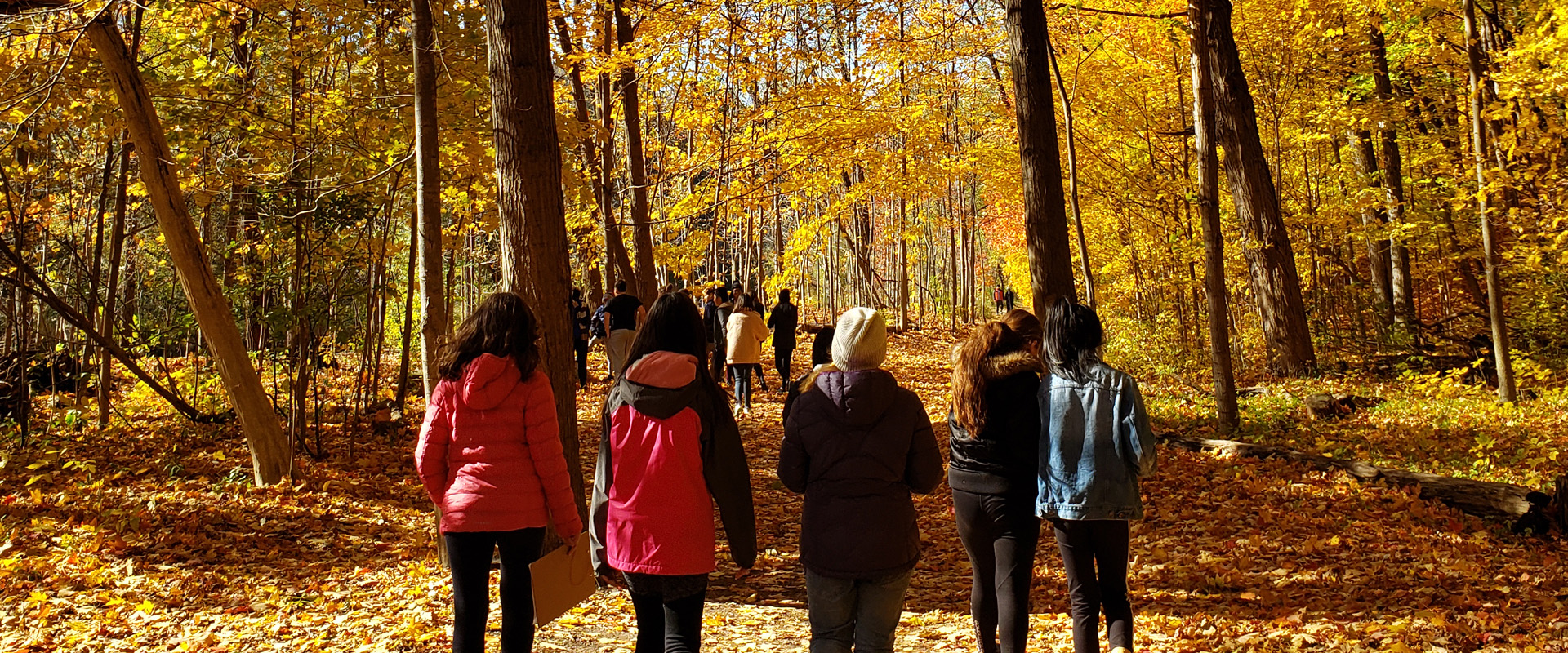 Education Naturally Field Trips – The Riverwood Conservancy